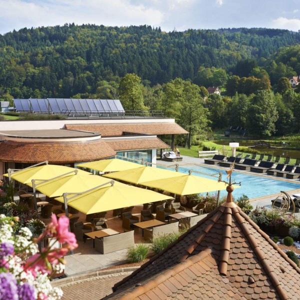 Les Hôtels Spa en Alsace : Adresses incontournables - Séjour bien-être
